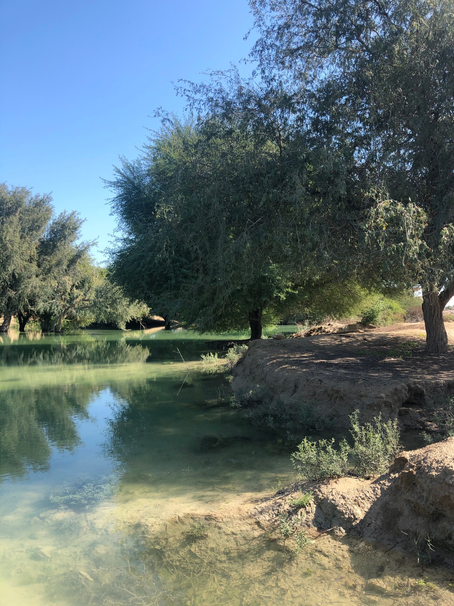 Insel Qeshm – Hallo Sonne – STEP OUT AND START