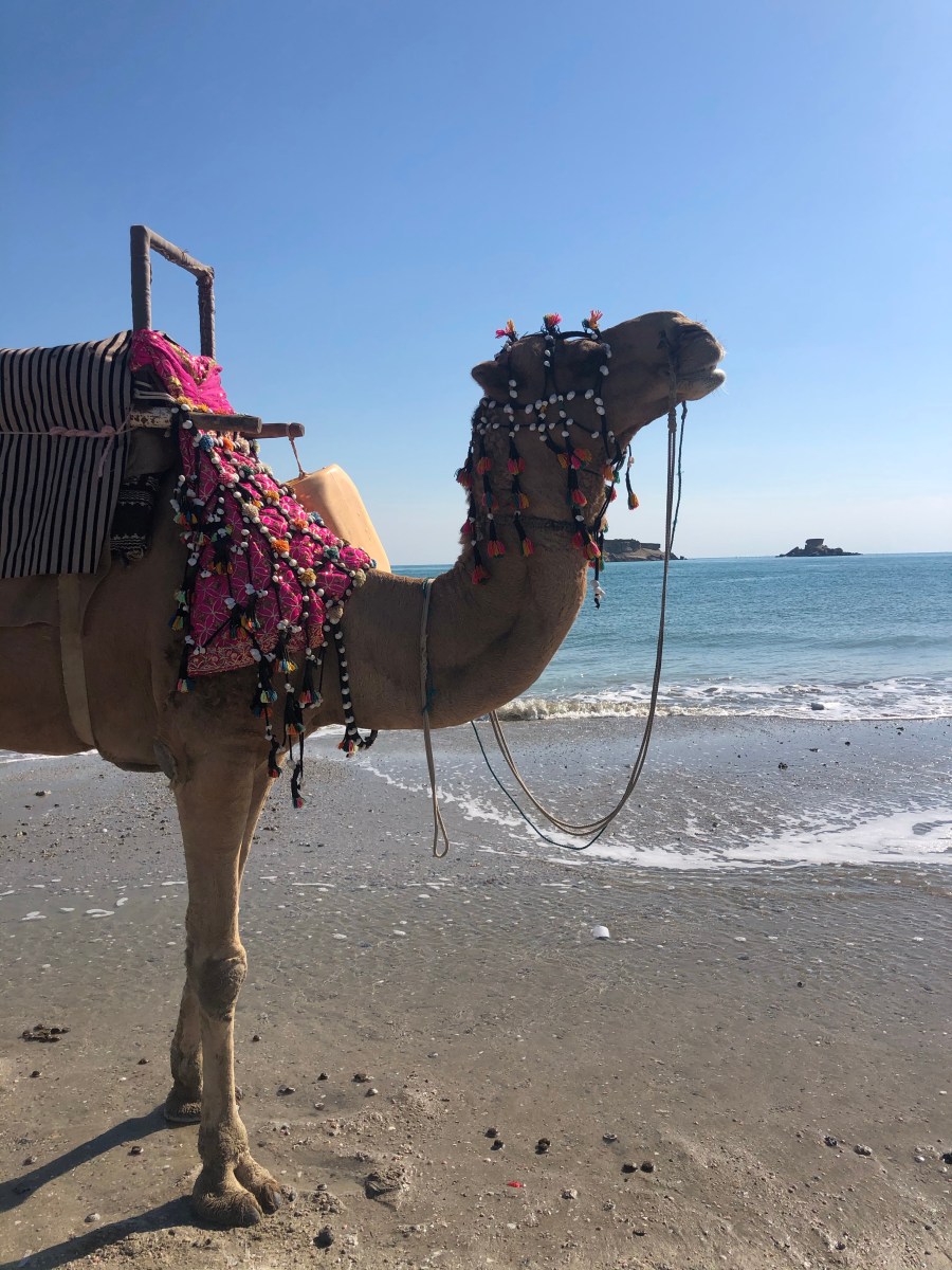 Insel Qeshm – Hallo Sonne – STEP OUT AND START